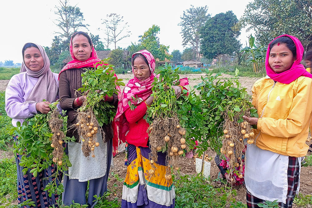 Nepal Livelihoods and Resilience Program (NLRP)-II | Needs Nepal